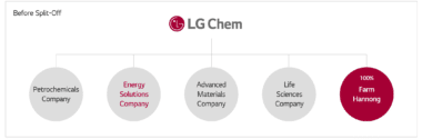 LG Energy Solutions aims for economies of scale - GoSaveTime Green ...