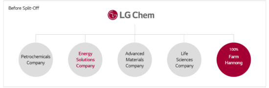 LG Energy Solutions aims for economies of scale - GoSaveTime Green ...
